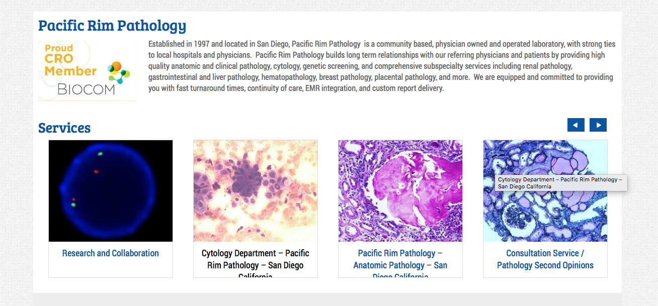 Medical Theme For Pacific Rim Pathology | steelbridge.io